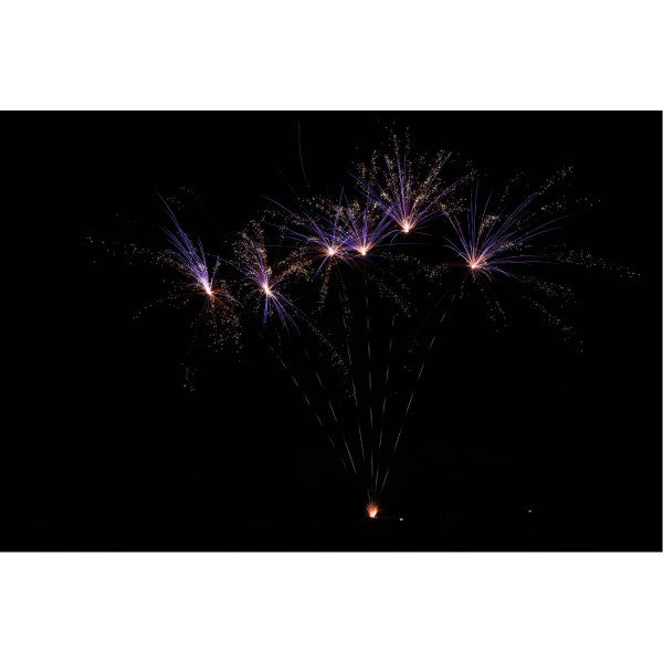 Nico Blue Crown Singlerow – Night of Colors